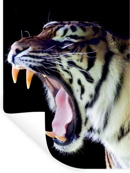 Muurstickers - Sticker Folie - Tijger - Tanden - Portret - 30x40 cm - Plakfolie -... | bol