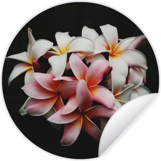 WallCircle - Muurstickers - Behangcirkel - Bloemen - Roze - Zwart - Flora - Botanisch... | bol