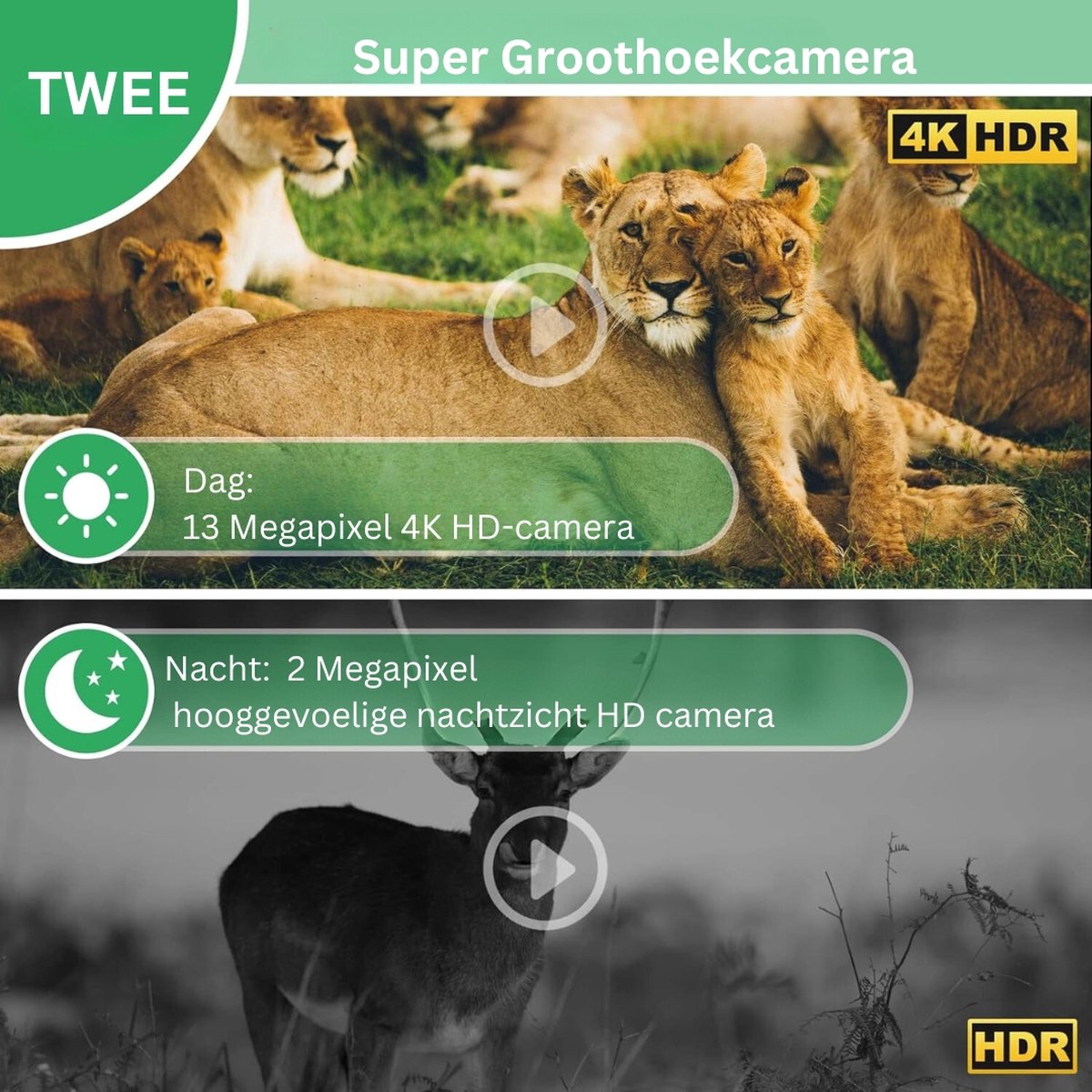 Caméra sauvage - Caméra sauvage avec vision nocturne - Caméra ...