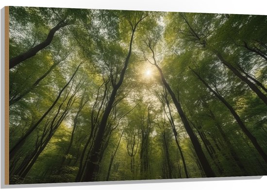 Hout - Bomen - Bos - Zon - Groen - 120x80 cm - 9 mm dik - Foto op Hout ...