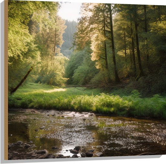 Hout - Bos - Natuur - Water - Beekje - Stenen - Bomen - 80x80 cm - 9 mm ...