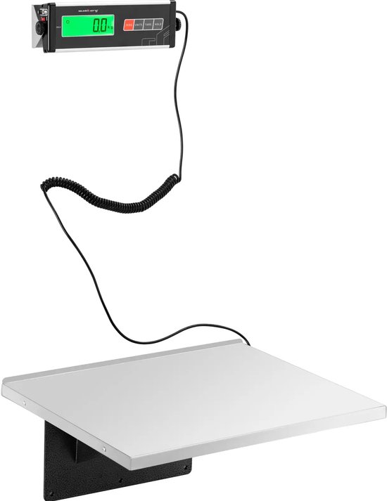 Steinberg Systems Opvouwbare wandweegschaal - 300 kg / 100 g - 55 x 45 ...