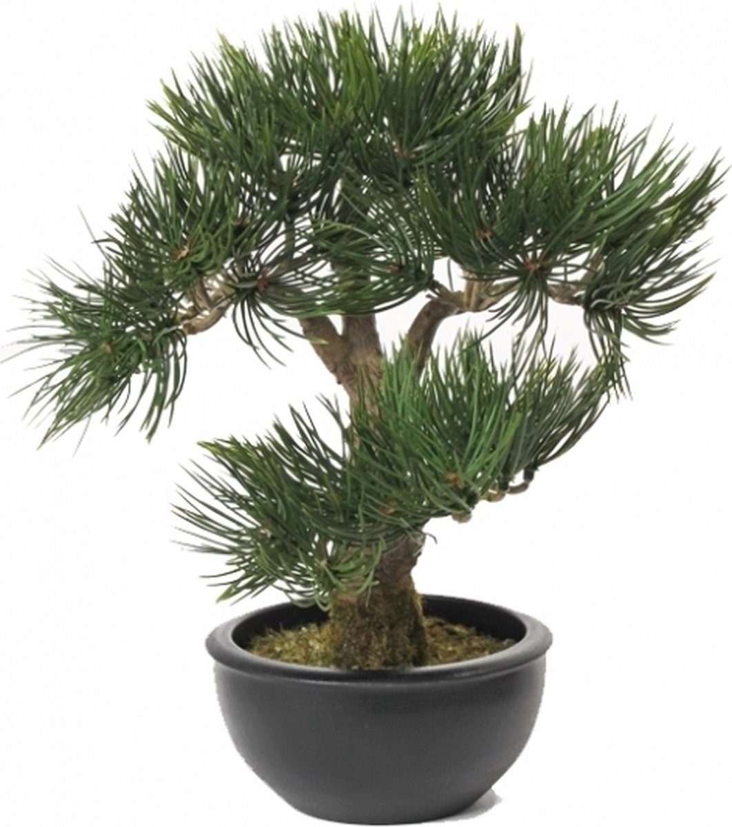 Kunstplant Bonsai boompje - Pinus Deniflora - kunst kamerplant - 33 cm ...
