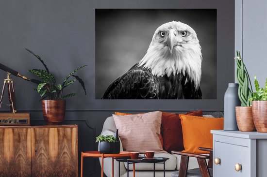 Muurstickers - Sticker Folie - Arend - Roofvogel - Zwart - Wit - Dieren ...