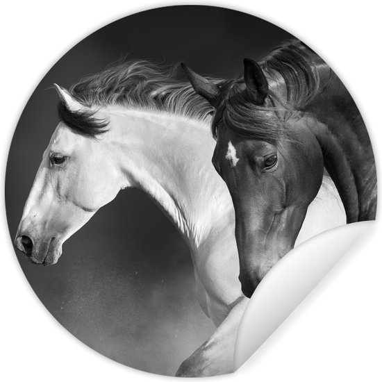 WallCircle - Behangcirkel - Zelfklevend behang - Dieren - Paarden - Natuur - 50x50 cm... | bol
