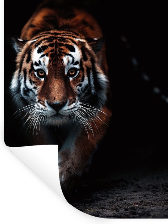 Muurstickers - Sticker Folie - Dieren - Tijger - Zwart - Wild - Portret - 90x120 cm -... | bol