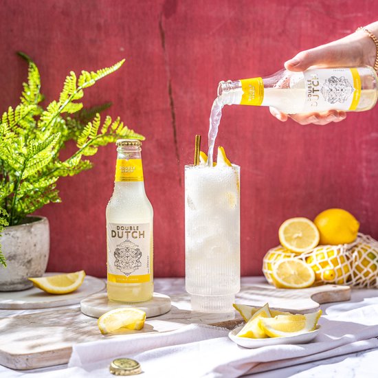 Double Dutch Double Lemon 24 x 200ml | bol