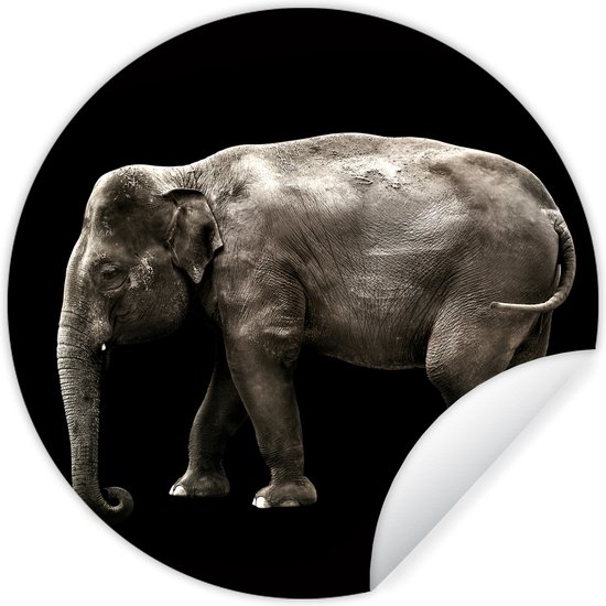 WallCircle - Muurstickers - Behangcirkel - Olifant - Wilde dieren - Zwart - 100x100 cm... | bol