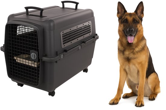 Reisbench hond – Autobench – Transportbox hond XXL 101x67x81 cm ...