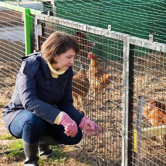 50pcs eierdozen - Zacht en duurzaam eierverpakking | bol