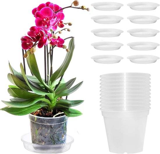 Set Van 10 Orchidee npotten Transparant 11 5 Cm Plastic Set Van 10 Orchidee npotten Transparant 11 5 Cm Plastic