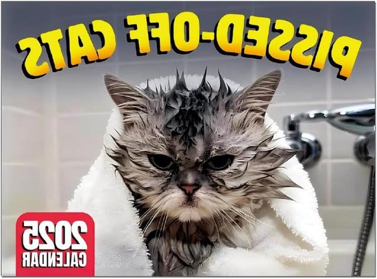 Kalender 2025 met boze katten - Familiekalender 2025 voor kantoor ...