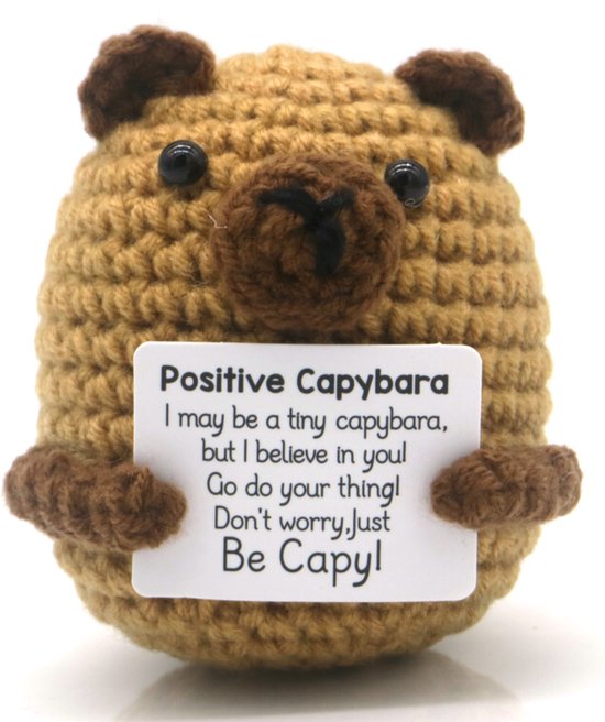 Positive Capybara - Positieve Vriendjes - Capibara - 8cm - Cadeau ...