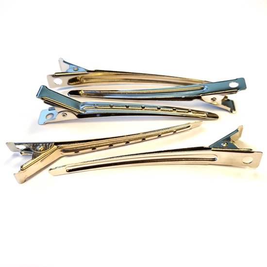 Haarspelden | Speld | Haaraccessoires | Set van 5 | RVS | bol.com