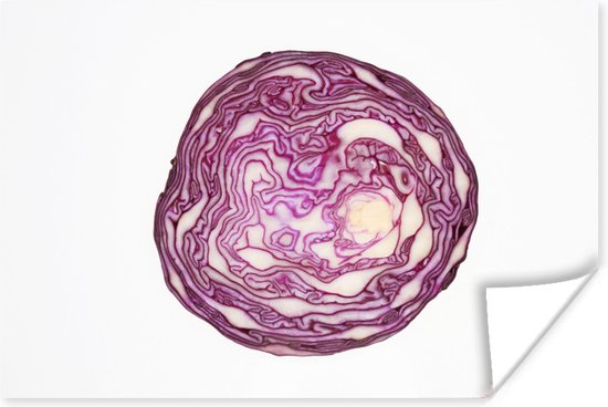 Un chou rouge coupé en deux sur fond blanc Poster 120x80 cm - Tirage ...