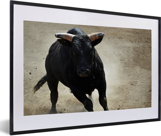 Fotolijst incl. Poster - Een zwarte stier in een zandbak - 60x40 cm ...