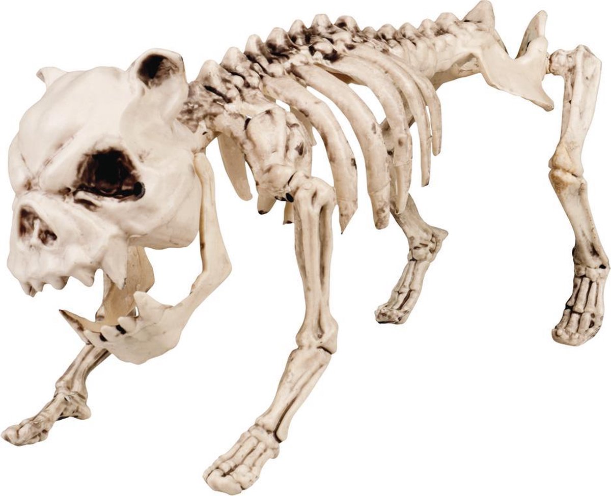 Boland - Hond Skelet Decoratie - 42cm | bol