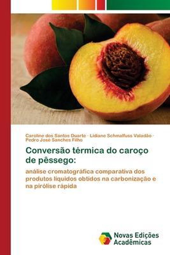 Conversão térmica do caroço de pêssego, Caroline Dos Santos Duarte ...
