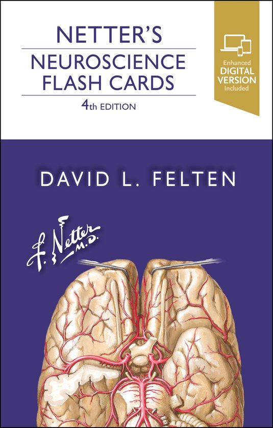 Netter's Neuroscience Flash Cards | 9780323756433 | David Felten ...