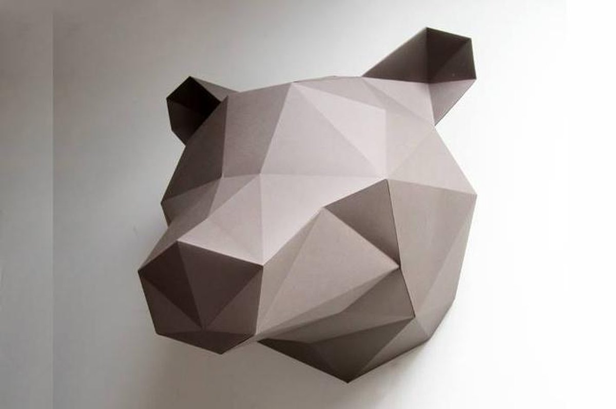 Assembli beer paper kit DIY trofee-bruin | bol.com