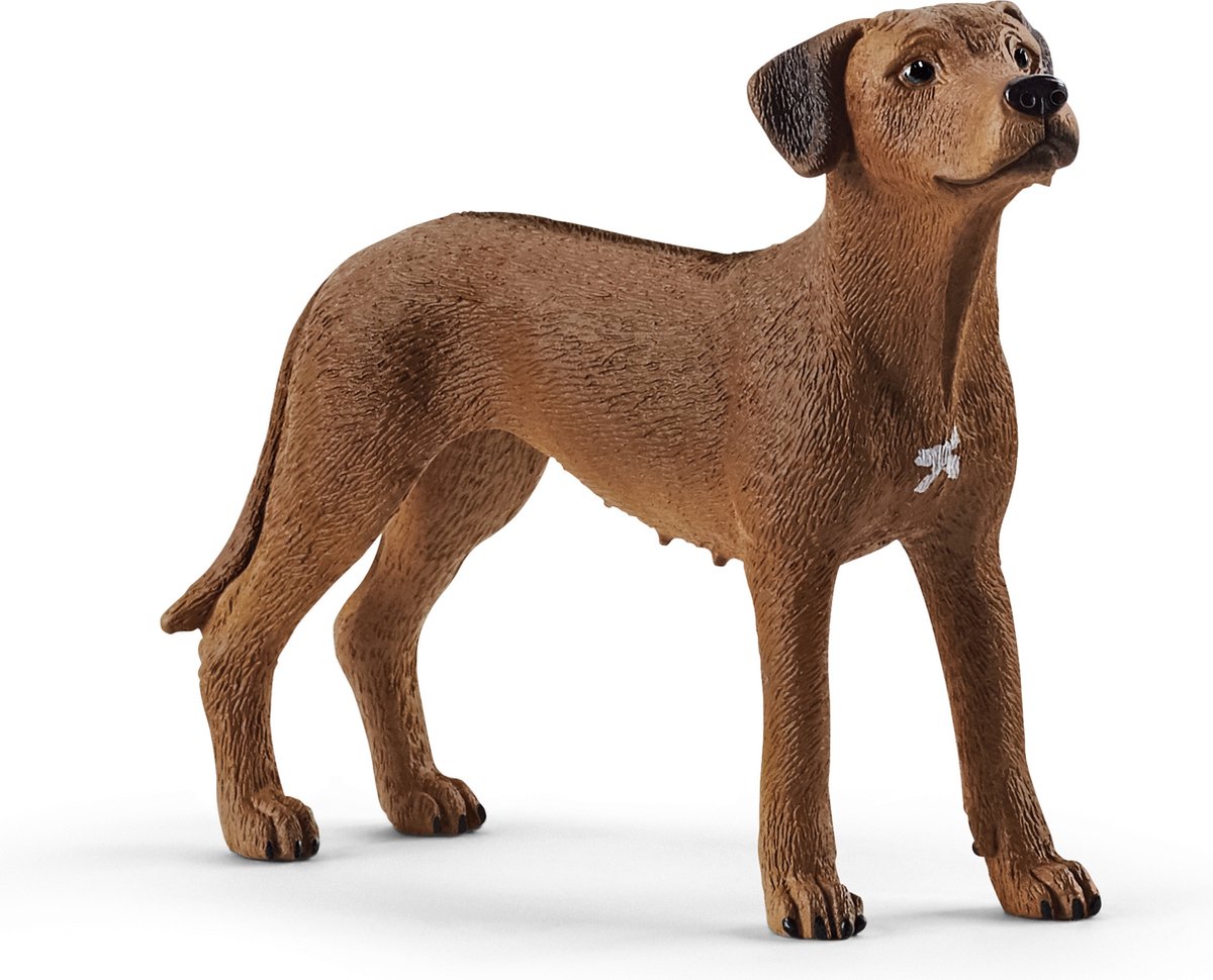 Schleich® Farm World Rhodesian Ridgeback | bol.com