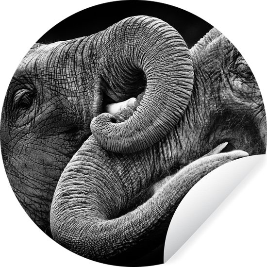 WallCircle - Muurstickers - Behangcirkel - Olifant - Dieren - Zwart - Wit - ⌀ 30 cm -... | bol