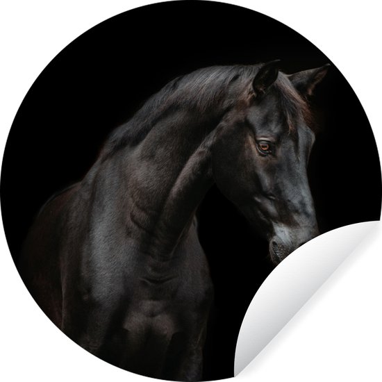WallCircle - Muurstickers - Behangcirkel - Paard - Dier - Zwart - 100x100 cm -... | bol