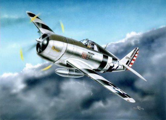 P-47D Razorback | bol