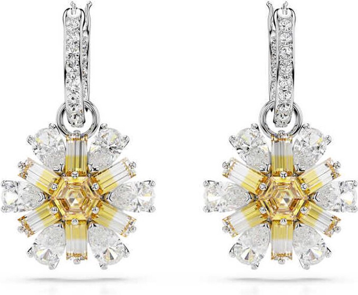 Swarovski Oorbellen 5683243 | bol