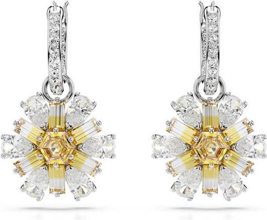 Swarovski Oorbellen 5683243 | bol
