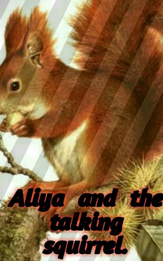 Aliya and the talking squirrel (ebook), Jeremiah Justin | 1230007077975 | Boeken | bol.com