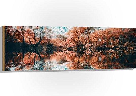 Hout - Water - Bomen - Herfst - Bladeren - Wolken - Kleuren - 120x40 cm ...