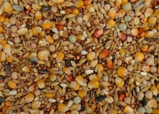 Tweetfeed Rui Perfect 20kg | bol