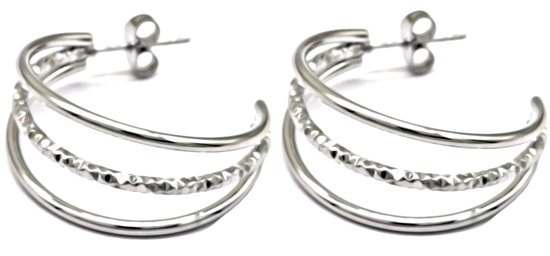 Oorbellen - Oorringen - RVS - 2,5 cm - Zilverkleurig | bol