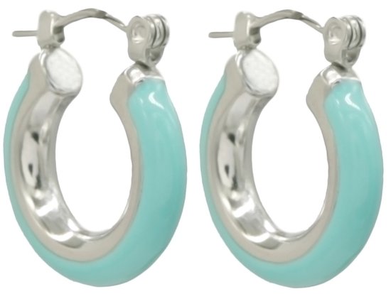 Oorbellen - Oorringen - RVS - 2 cm - Zilverkleurig | bol