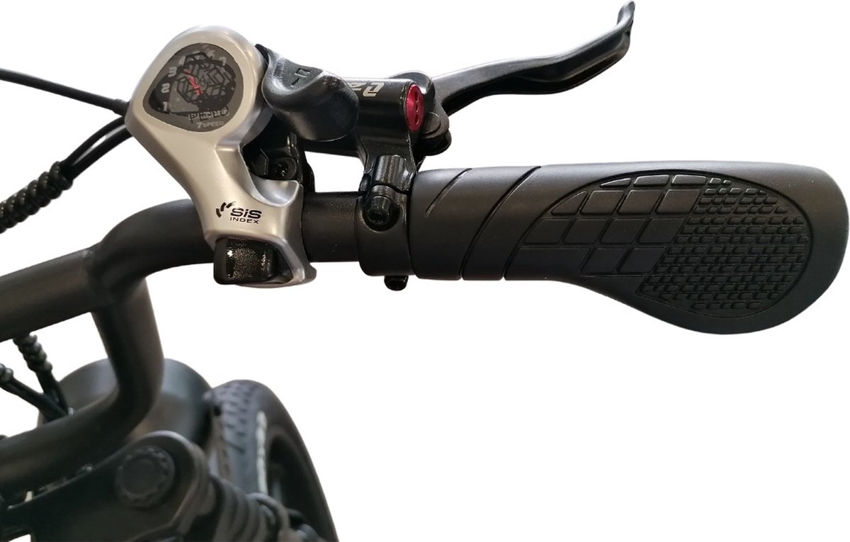 Beefly V20 - Model 2024 - Fatbike - 250W - 15AH - Hydraulisch remmen ...