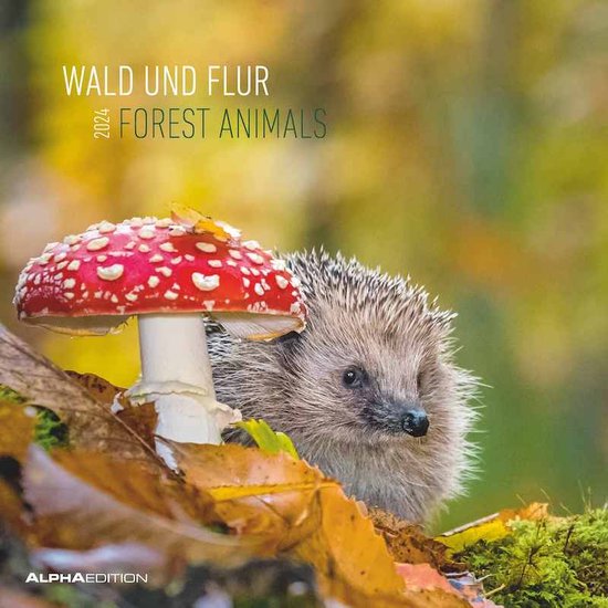 Forêt et fleurs 2024 - Calendrier brochure 30x30 cm (30x60 geoffnet ...