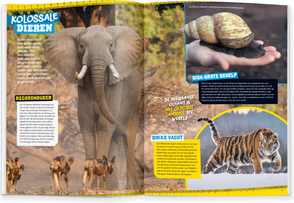 National Geographic Junior Winterboek 2023 - Groot Groter Grootst - Voor kinderen | bol