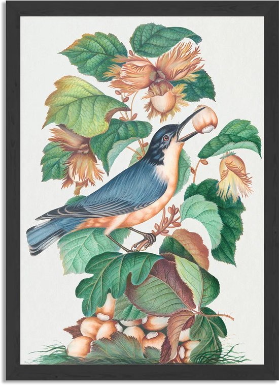 Poster Prent Natuur Vogel en Bloemen 09 Rechthoek Verticaal Met Lijst M ...