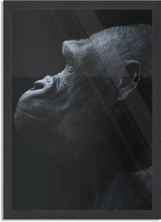 Poster De Aap Zwart Wit Rechthoek Verticaal Met Lijst XL (50 X 70 CM ...