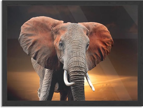 Poster Olifant met Zonsondergang Rechthoek Horizontaal Met Lijst XL (70 ...