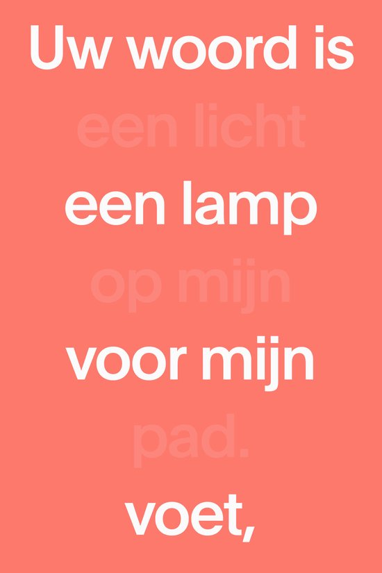 NBV21 Midsize Paperback | 9789089124265 | Boeken | bol