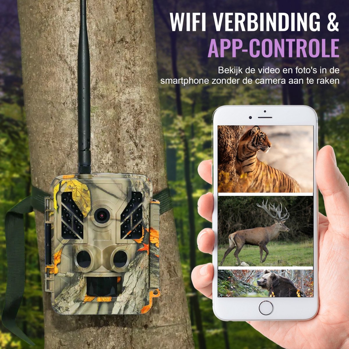EasierLife® Geavanceerde WildCamera inclusief Nachtzicht – WildCamera ...