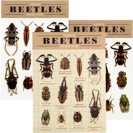 Rex London - Tijdelijke tattoos 'Kevers' | bol