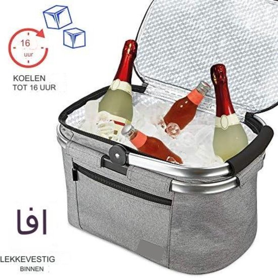 Gratyfied - Koelkast - Frigobox Elektrisch - Foelkast Auto | bol