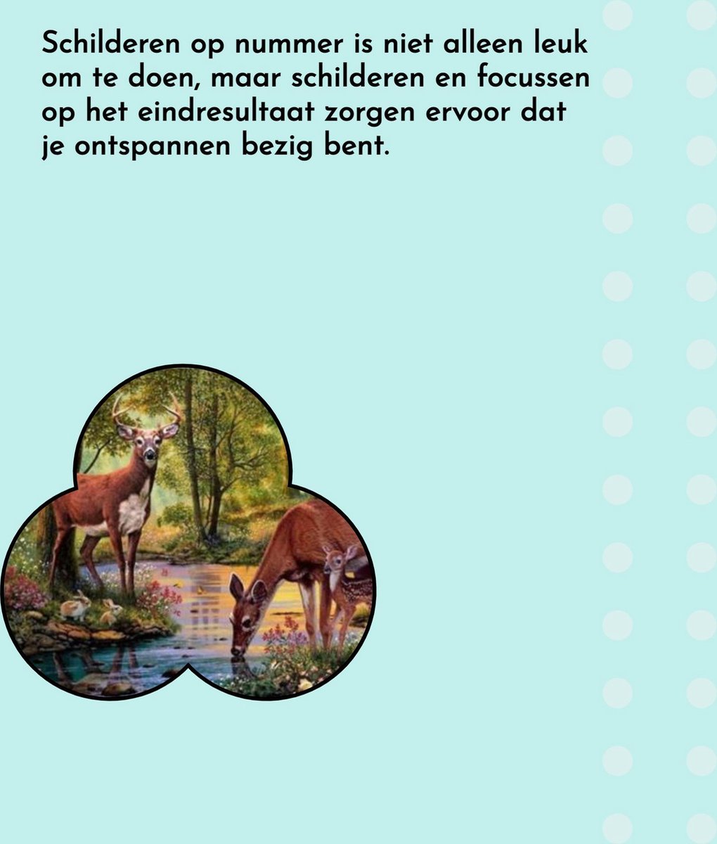 Delki® Schilderen Op Nummer - Herten - 40x50cm - Met Frame - Paint By ...