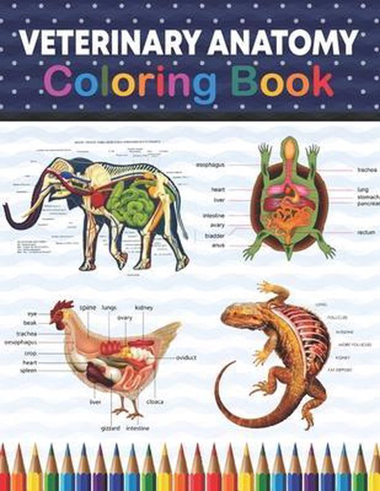 Veterinary Anatomy Coloring Book | 9798704995791 | Sreijeylone ...
