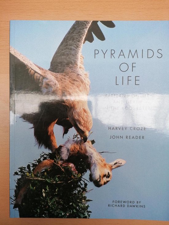 Pyramids of Life, Harvey Croze | 9781860466137 | Boeken | bol