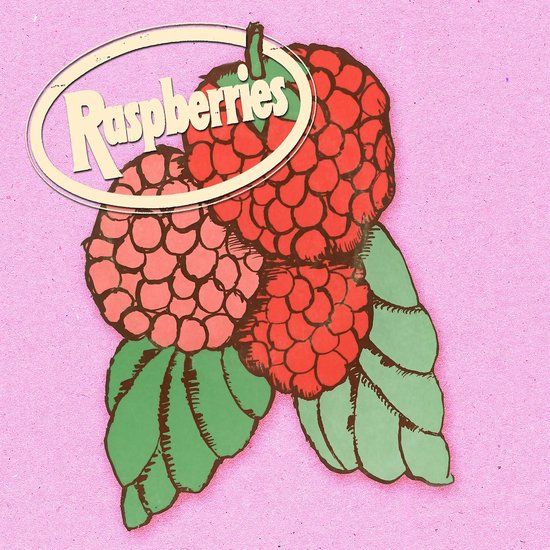 Raspberries - Classic Album Set (4 CD), Raspberries | Muziek | bol