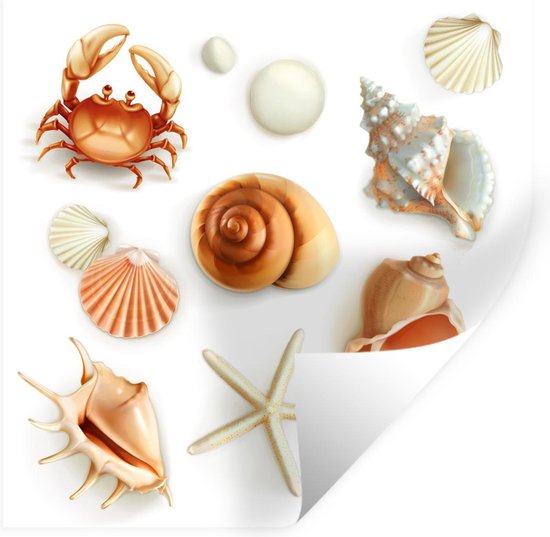 Muurstickers - Sticker Folie - Schelpen - Zeedieren - Collage - 120x120 ...